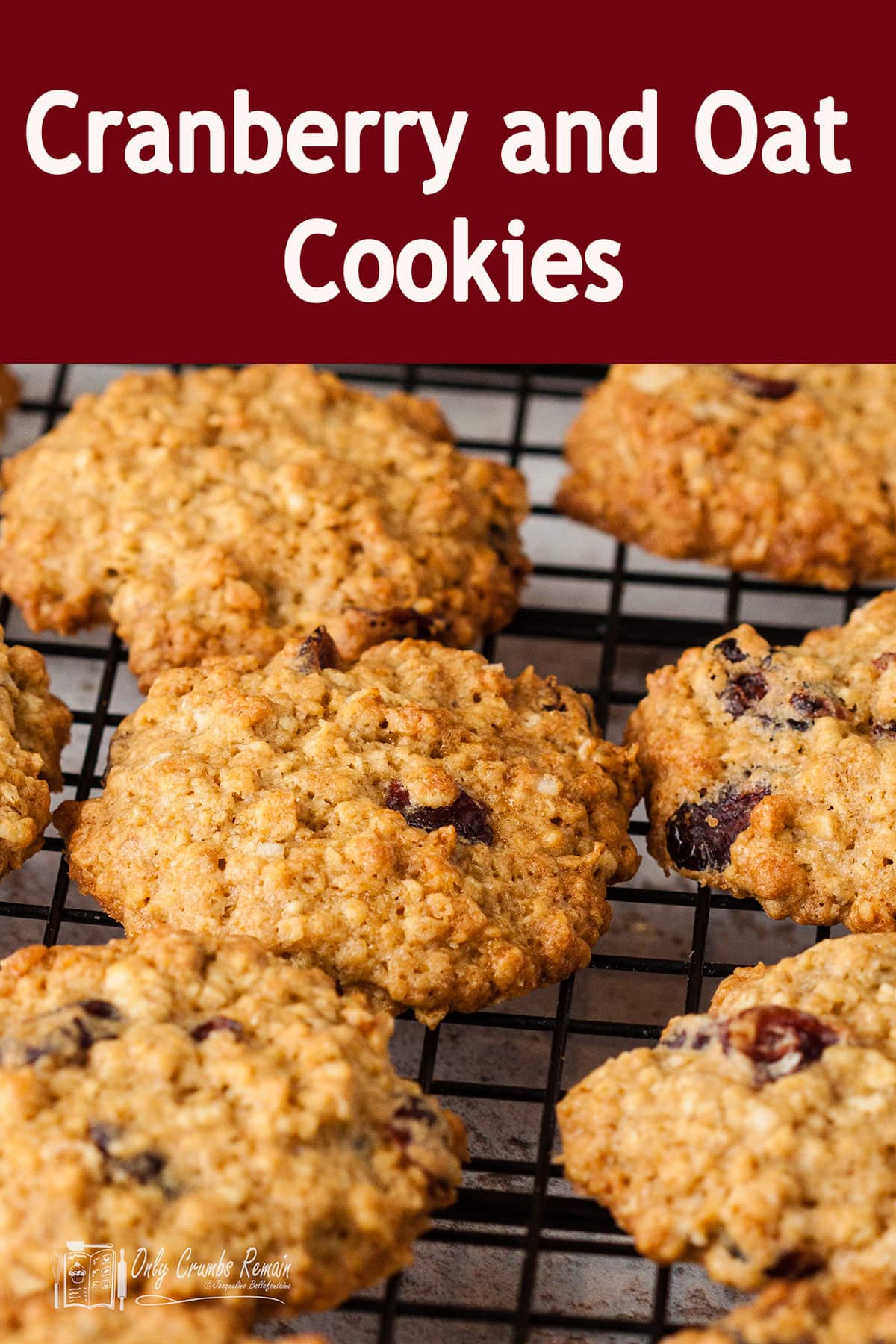 Cranberry & Oat Cookies | Only Crumbs Remain