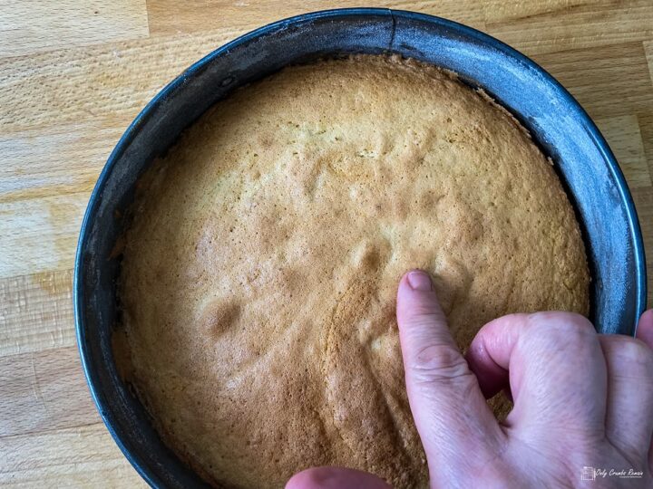 Rhubard & Custard Genoise Cake | Only Crumbs Remain