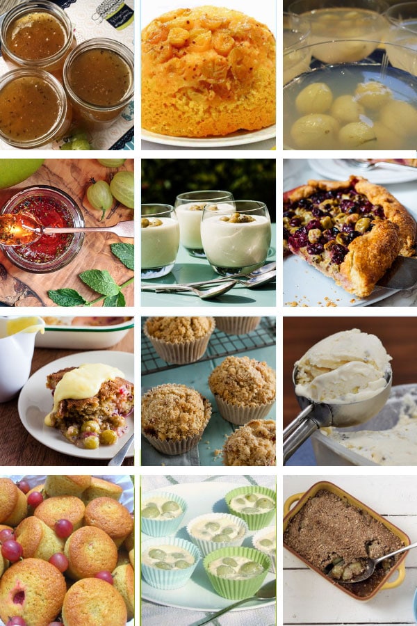 Great Gooseberry Recipes | Only Crumbs Remain