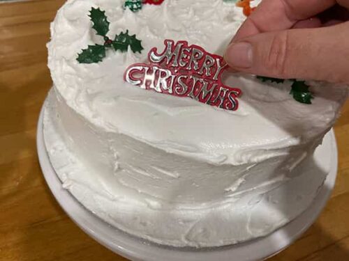 Easy Retro Christmas Cake | Only Crumbs Remain