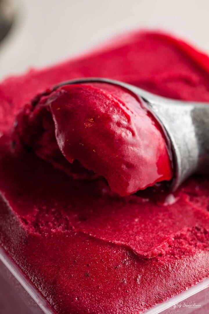 Blackcurrant Sorbet | Only Crumbs Remain