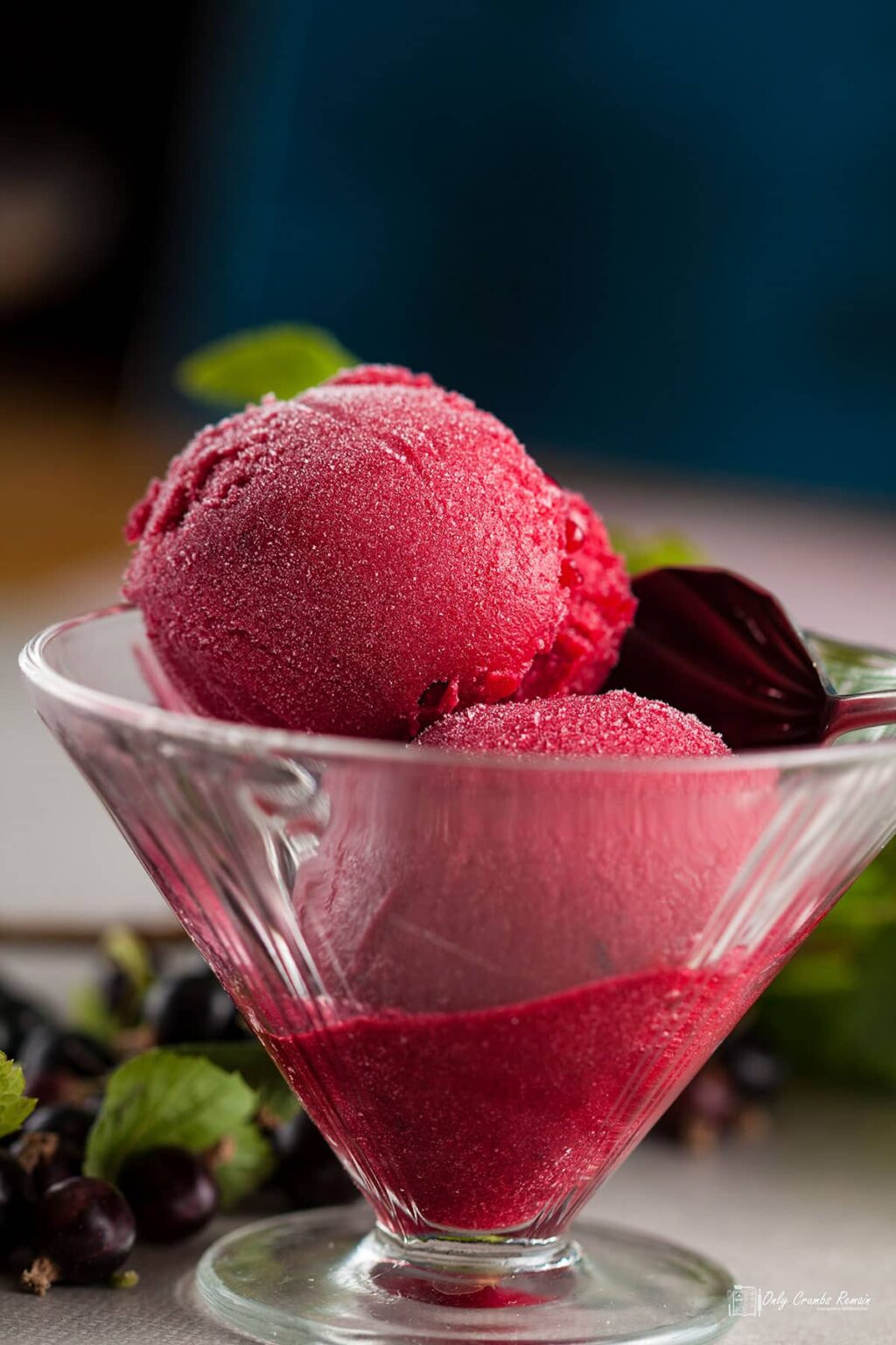 Blackcurrant Sorbet | Only Crumbs Remain