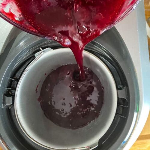 Blackcurrant Sorbet | Only Crumbs Remain