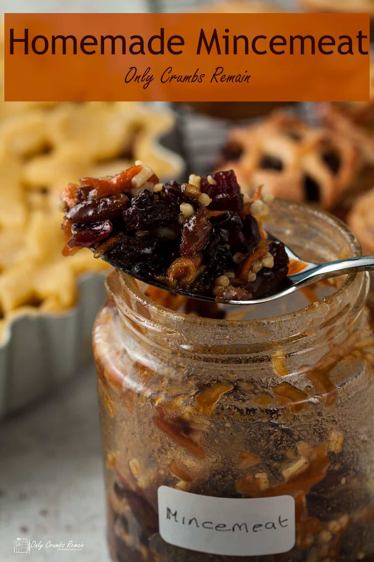 Homemade Mincemeat | Only Crumbs Remain