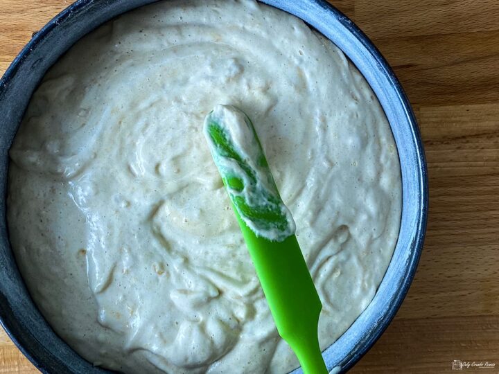 Rhubard & Custard Genoise Cake | Only Crumbs Remain