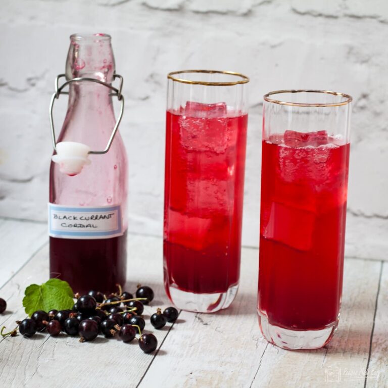 Best Blackcurrant Recipe Collection | Only Crumbs Remain
