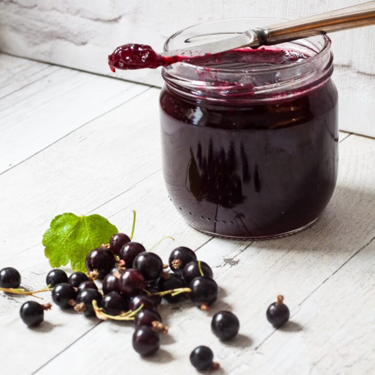 Best Blackcurrant Recipe Collection | Only Crumbs Remain